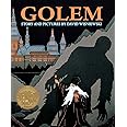 Golem: Wisniewski, David: 9780618894246: Amazon.com: Books