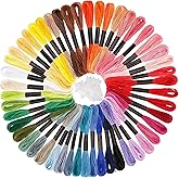Amazon.com: Embroidery Floss Rainbow Color, 100 Skeins Friendship ...