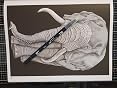 Intricate Ink Animals in Detail a Coloring Book by Tim Jeffs : Tim ...