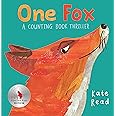 Amazon.com: One Fox: A Counting Book Thriller: 9781682631317: Read ...
