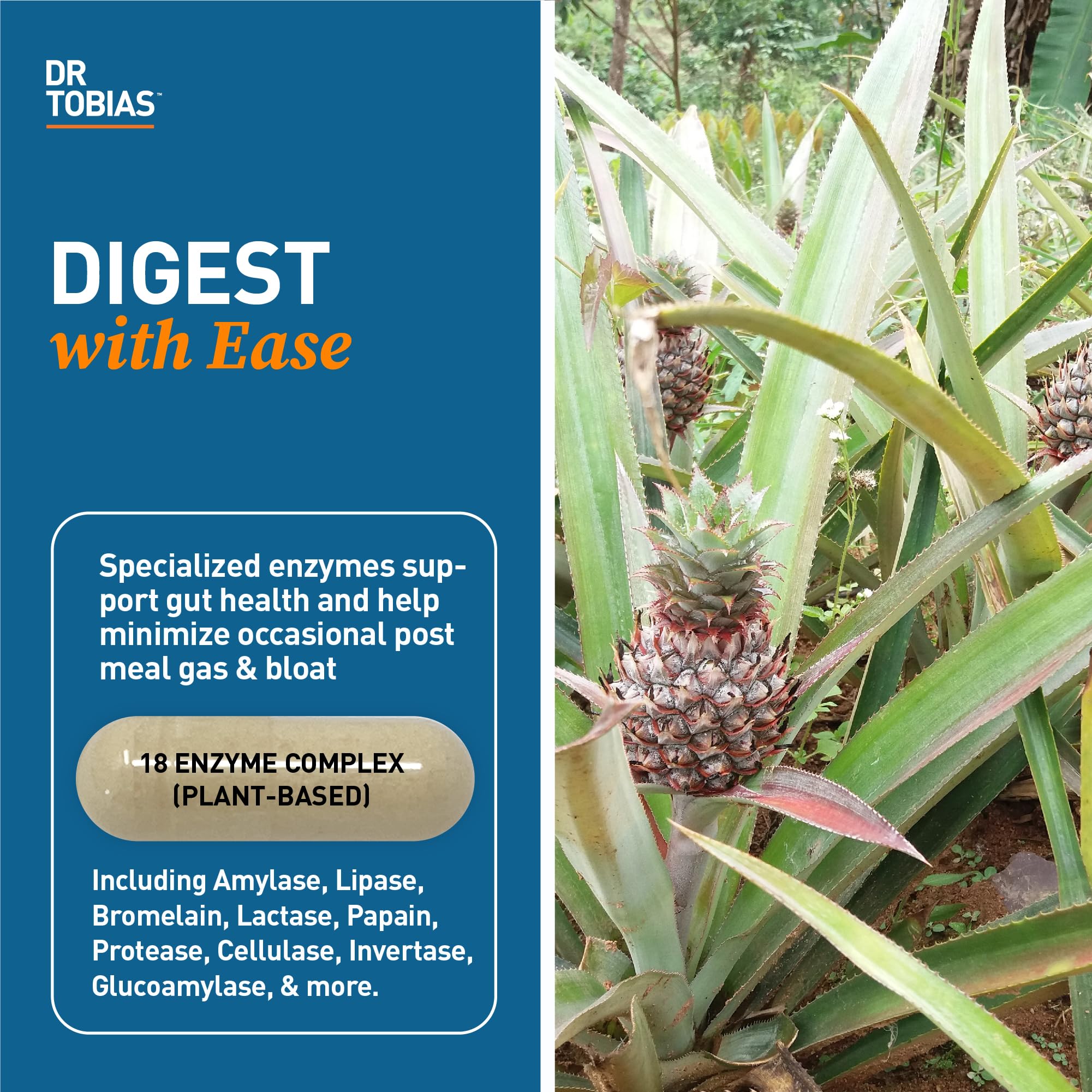 Mua Dr. Tobias Digestive Enzymes with Amylase, Bromelain, Lipase ...