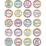 Amazon.com : Sweetzer & Orange Spanish Stickers for Teachers and ...