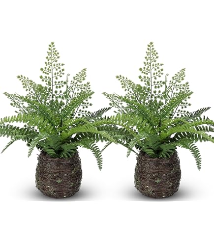 Small Silk Ferns