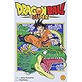 Amazon.com: Dragon Ball Super, Vol. 1 (1): 9781421592541: Toriyama ...