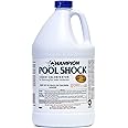 Amazon.com : Champion Pool Shock - Ready To Use Liquid Chlorine ...