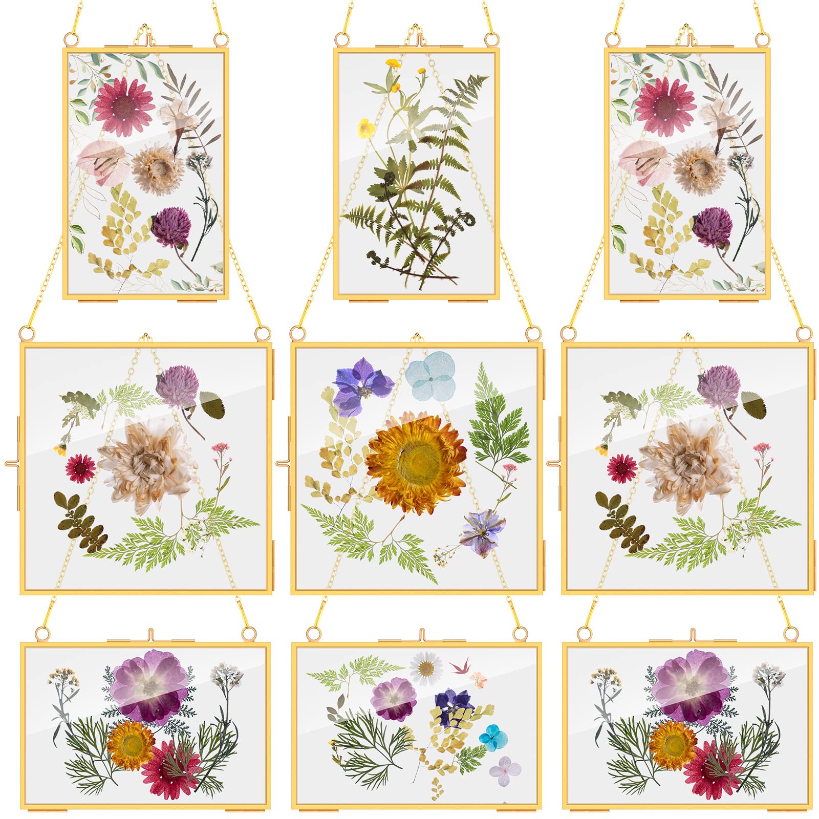 Chunful 9 Pieces Double Glass Frame for Pressed Flowers Hanging Picture ...