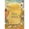 Amazon.com: Many Waters (A Wrinkle in Time Quintet, 3): 9780312368579 ...