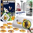 Amazon.com: Amber Dig Kit - Insects in Resin, 8 Insects Specimens ...