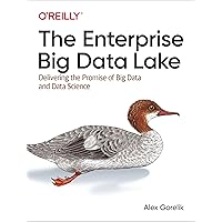 Amazon.com: The Enterprise Big Data Lake: Delivering the Promise of Big Data and Data Science ...