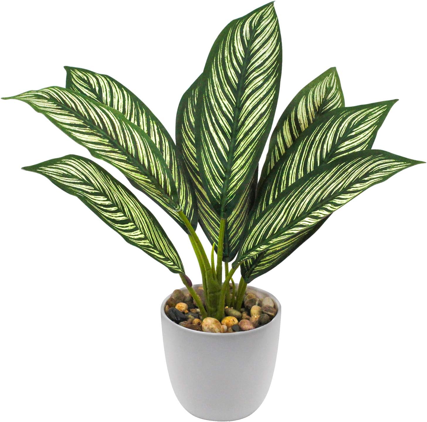 Briful Artificial Zebra Plant Calathea Zebrina Decorative Indoor Plant ...