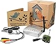Wildlife World Camera Ready Nest Box: Amazon.co.uk: Garden & Outdoors