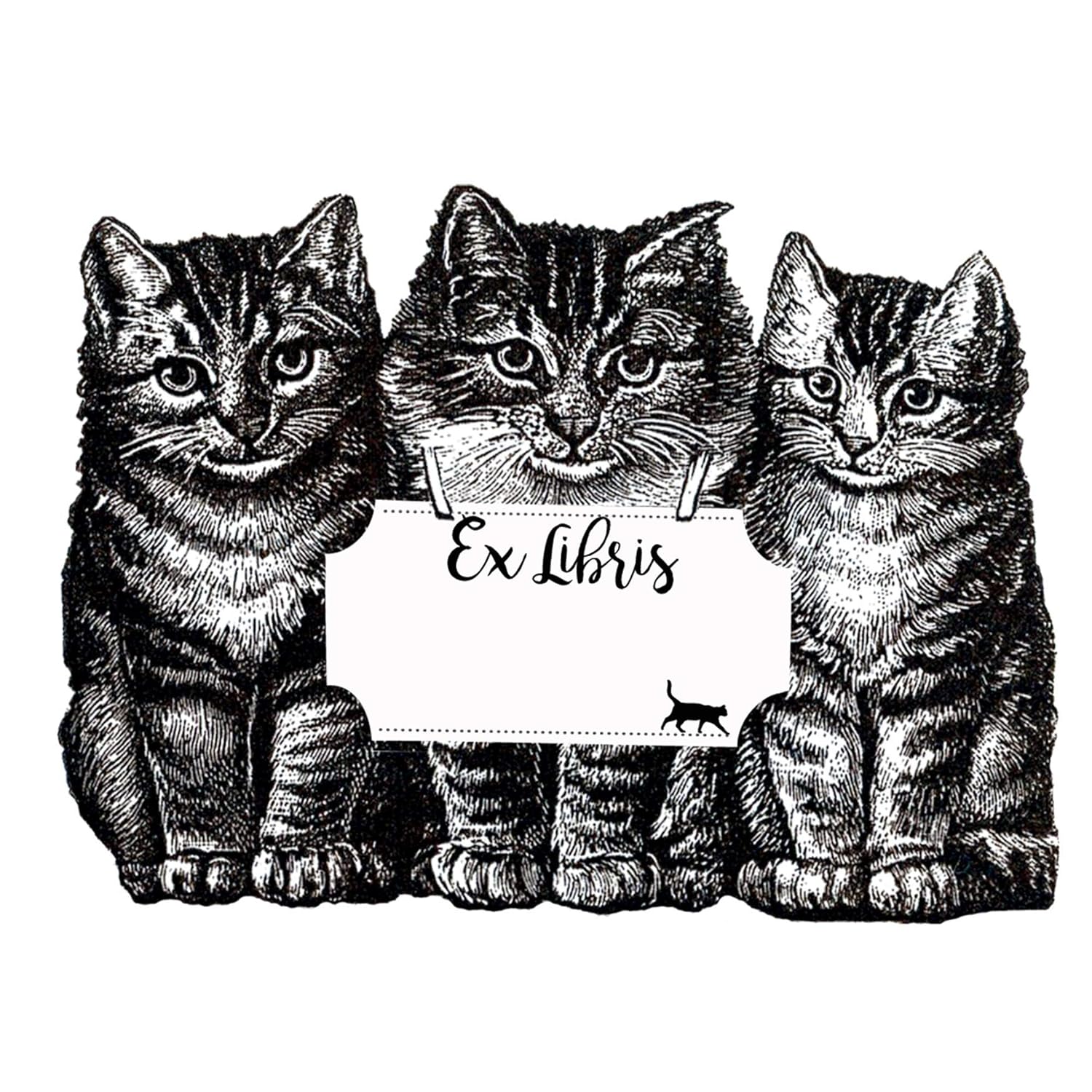 Amazon.com: Cat Bookplate Stickers Personalized Book Labels Ex Libris ...
