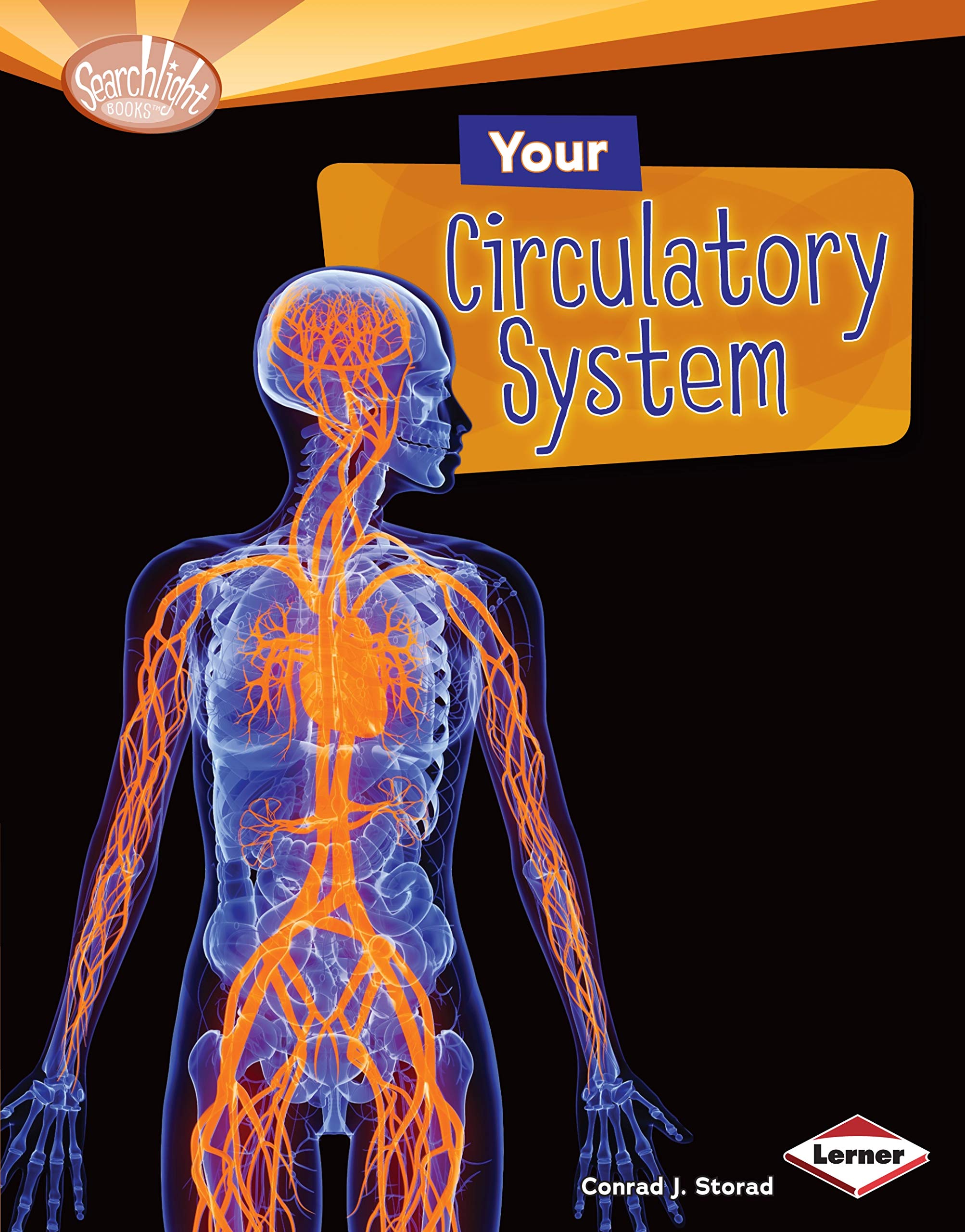 Human Circulatory System For Ks1 And Ks2 Children Heart