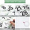 Chinco 40 Pieces Eucalyptus Laminated Numbers Cutouts for Classroom ...