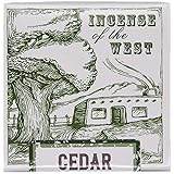 Amazon.com: Incienso de Santa Fe - Piñon Natural Wood Incense Bricks ...