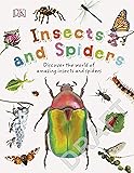 Insect: Explore the world of insects and creepy-crawlies - the most ...