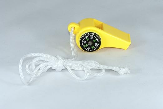 Amazon.com : Marine Sports Manufacturing Combo Compass and Thermometer ...