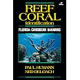 Reef Coral Identification: Florida, Caribbean, Bahamas 3rd Edition ...