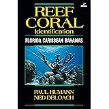 Reef Fish Identification - Florida Caribbean Bahamas - 4th Edition ...
