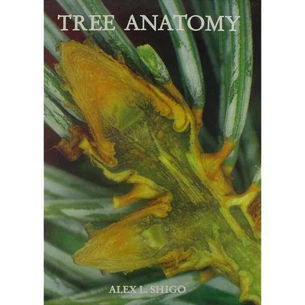 Tree Biology