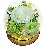 Amazon.com: Valley of Rain & Forest Long-Lasting Real Flowers, Unique ...