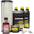 Amazon.com : Briggs and Stratton Vanguard Series Maintenance Kit ...