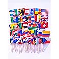 Amazon.com : SoKoot 100 Countries Cupcake Toppers Stick Flag Small Mini ...