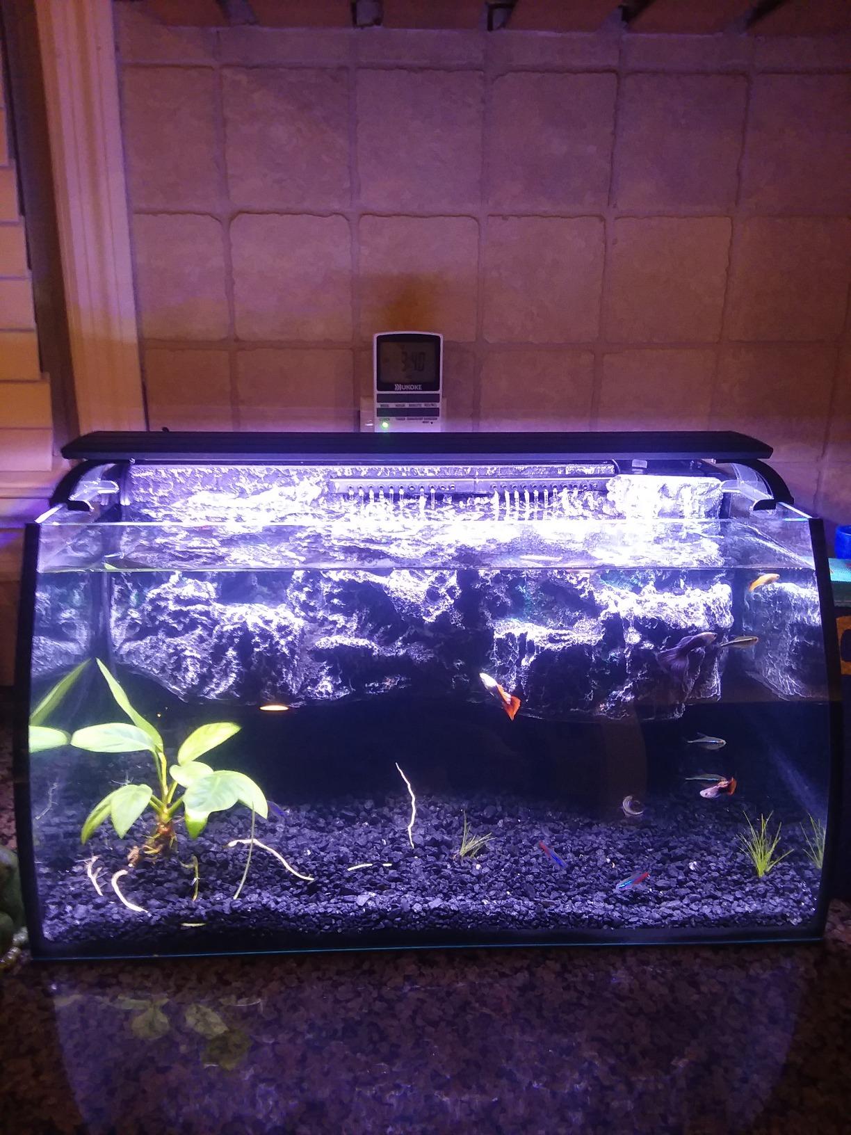 $24/mo - Finance Hygger Horizon 8 Gallon LED Glass Aquarium Kit for ...