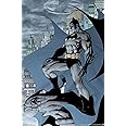 Amazon.com: Trends International Batman Cape Wall Poster 22.375" x 34 ...