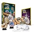 Amazon.com: NATIONAL GEOGRAPHIC Break Open 10 Premium Geodes – Includes ...
