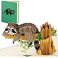 Amazon.com : ioyounow Raccoon Pop Up Card - 6x12 Inch Birthday Greeting ...