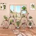 Amazon.com: Allinside Hexagonal Plant Stand for Indoor and Outdoor ...