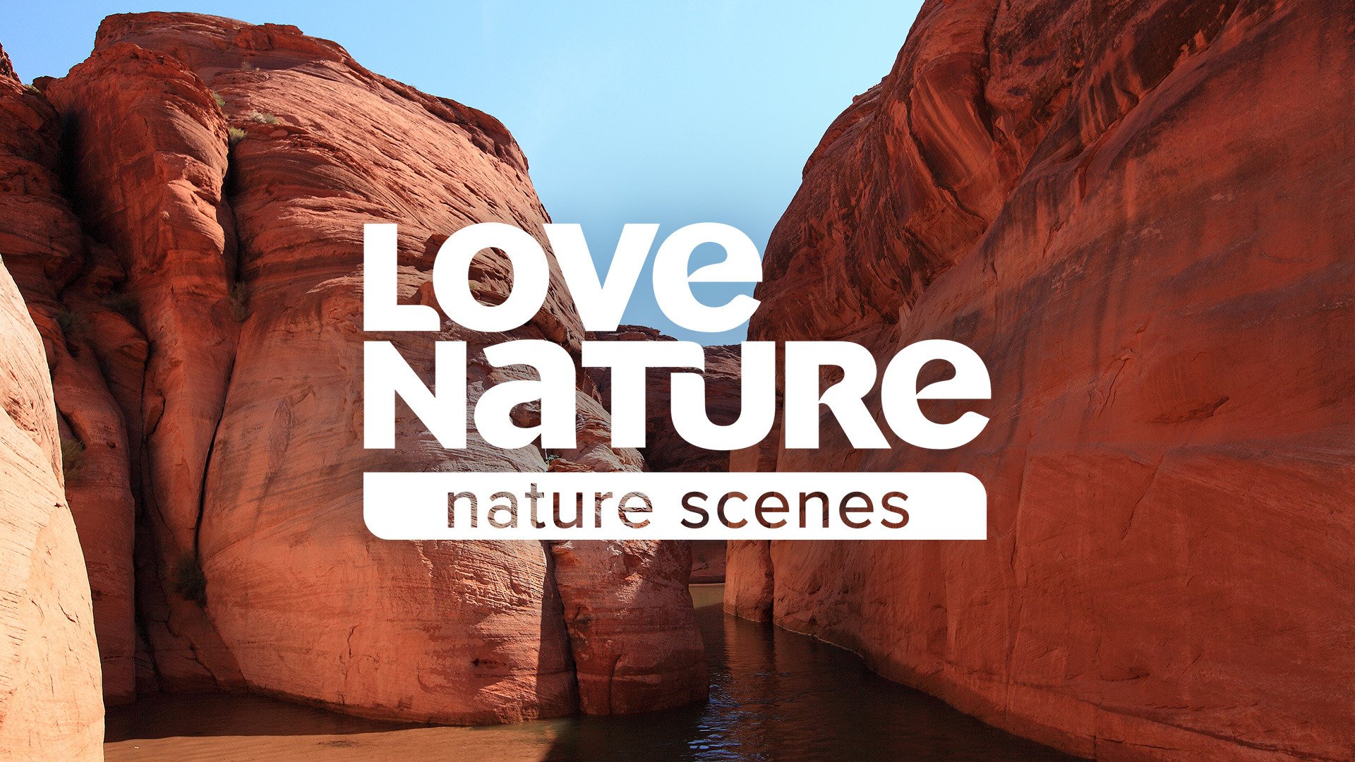 Watch Nature Scenes: Environment | Prime Video