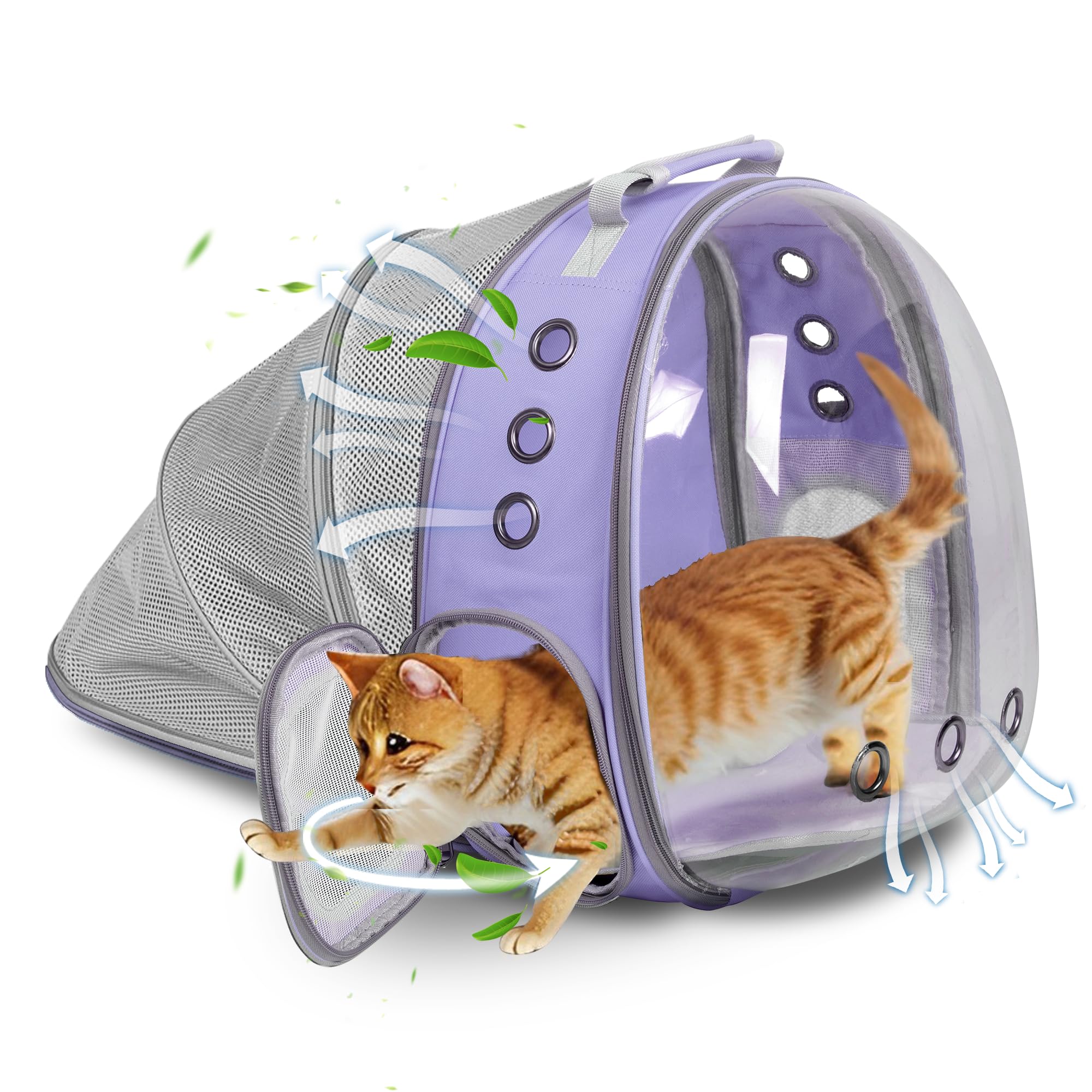 TOYSINTHEBOX Cat Backpack Carrier, Expandable Pet Bubble Backpack for ...