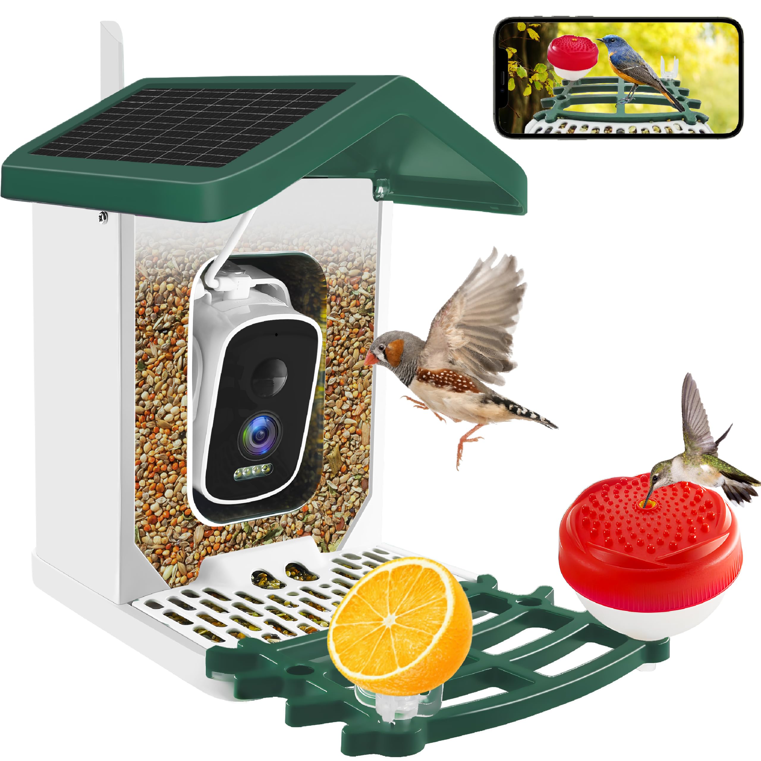 ImmSss Bird Feeder with Camera,Smart AI Identify Bird Species,Solar ...