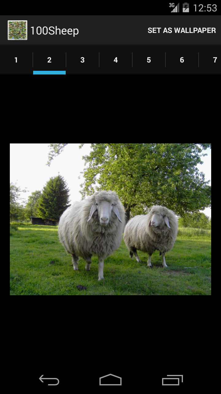 Sheep Wallpaper App:Amazon.com:Appstore for Android