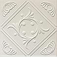 Amazon.com: Euro-Deco Ceilings, Inc R2AW ~20x20 Antique White (Painted ...