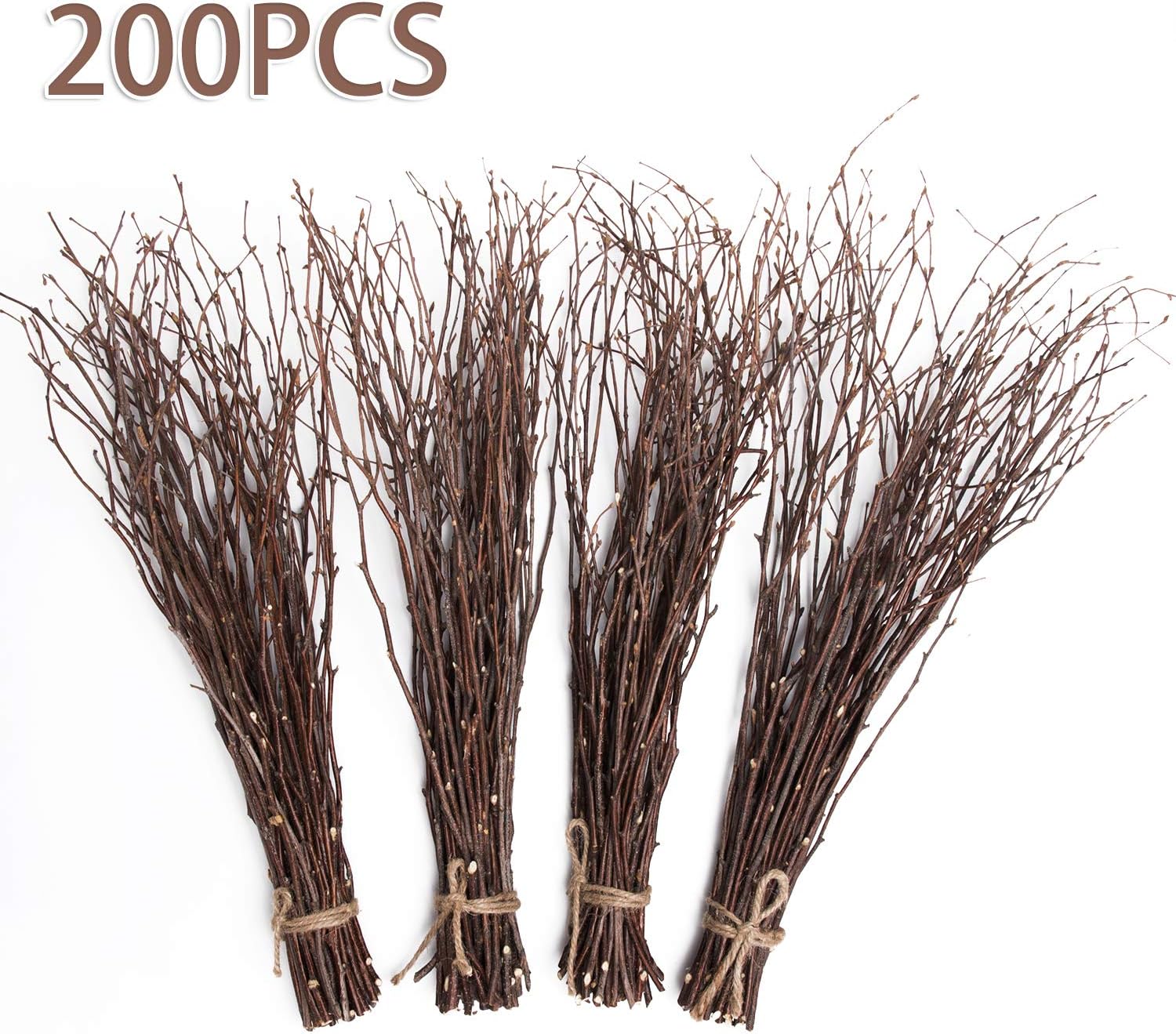 Amazon.com: Alater Birch Twigs, 200 Pcs Natural Birch Branches for ...