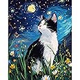 Amazon.com: obterie Starry Night Paint by Numbers Kit for Adults ...