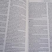 Holy Bible: King James Version (KJV) (Bible Kjv): Amazon.co.uk: Collins ...