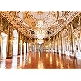 Amazon.com : BELECO 7x5ft Fabric Luxurious Palace Backdrop for ...
