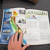 The 50 States Guide Book: Explore The USA With State-By-State Fact ...