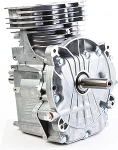 Amazon.com : Briggs & Stratton 697761 Short Block Model 31 Vertical ...