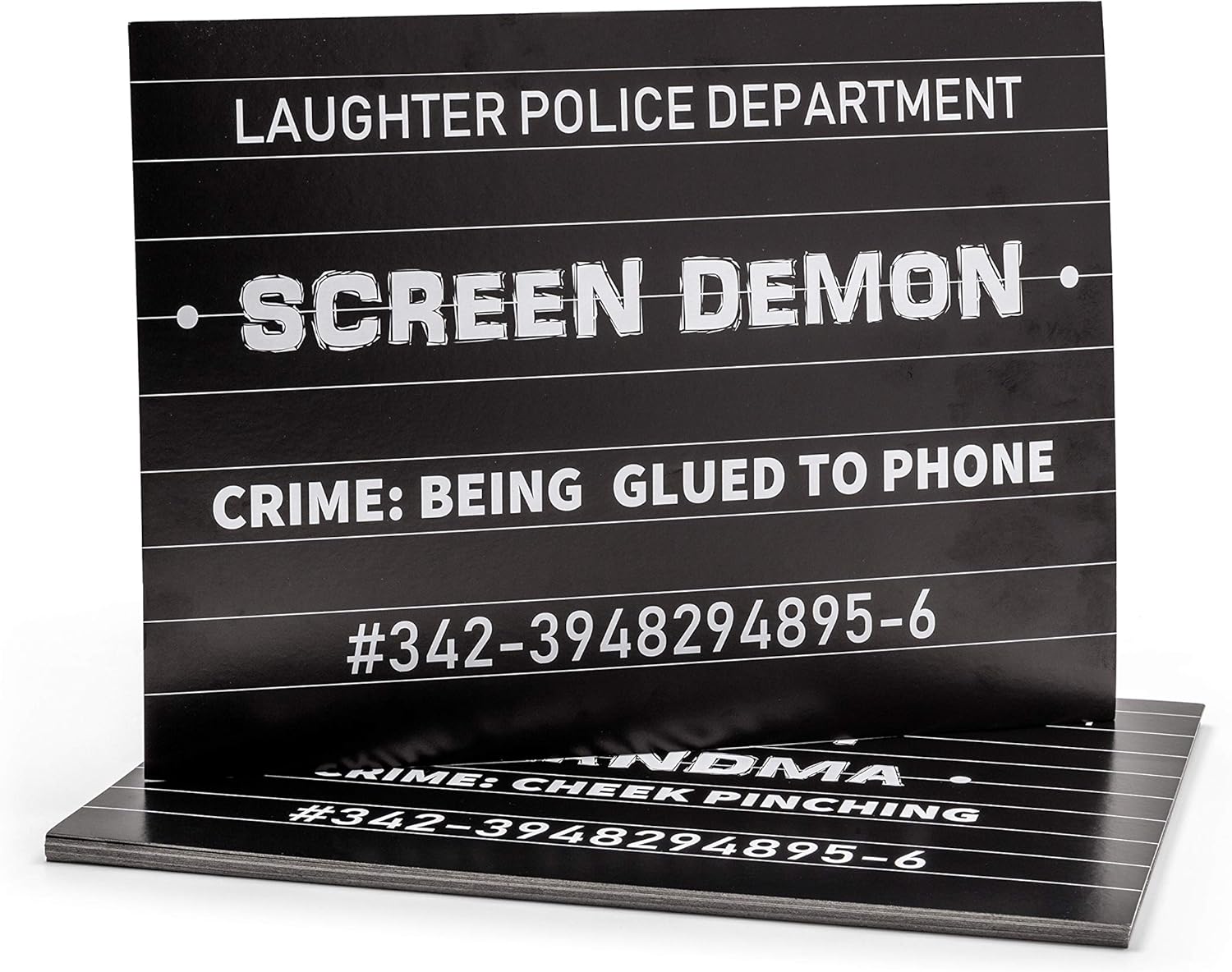 Amazon.com: Mugshot Signs Party Decor for Family Fun – 20 Unique and ...