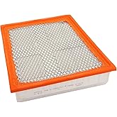 Amazon.com: ACDelco GM Original Equipment A3248C Air Filter : Automotive