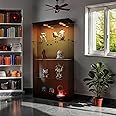 Amazon.com: Shengrunner Frameless Glass Display Cabinet, Curio Cabinet Display Case with LED ...