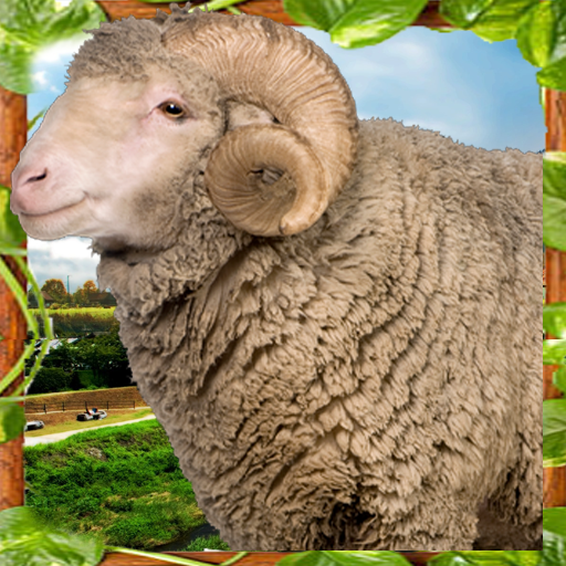 Ultimate Sheep Simulator 3D:Amazon.co.uk:Appstore for Android