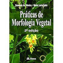 Morfologia Vegetal