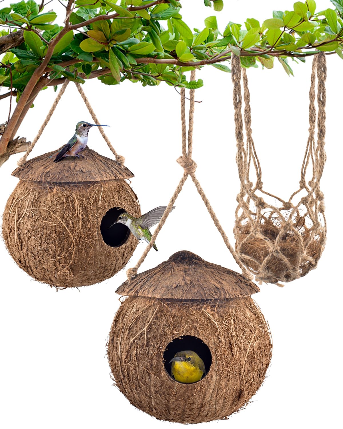 KATUMO Hummingbird Houses, Natural Coconut Bird Houses for Outside ...