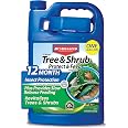 Amazon.com : BioAdvanced 12 Month Tree and Shrub Protect and Feed ...